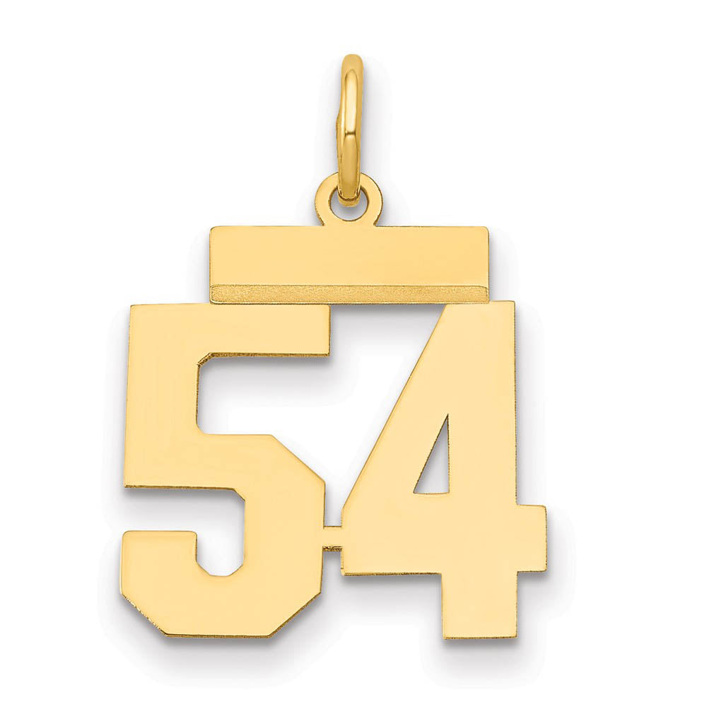 14k Yellow Gold, Athletic Collection, Small Polished Number 54 Pendant ...