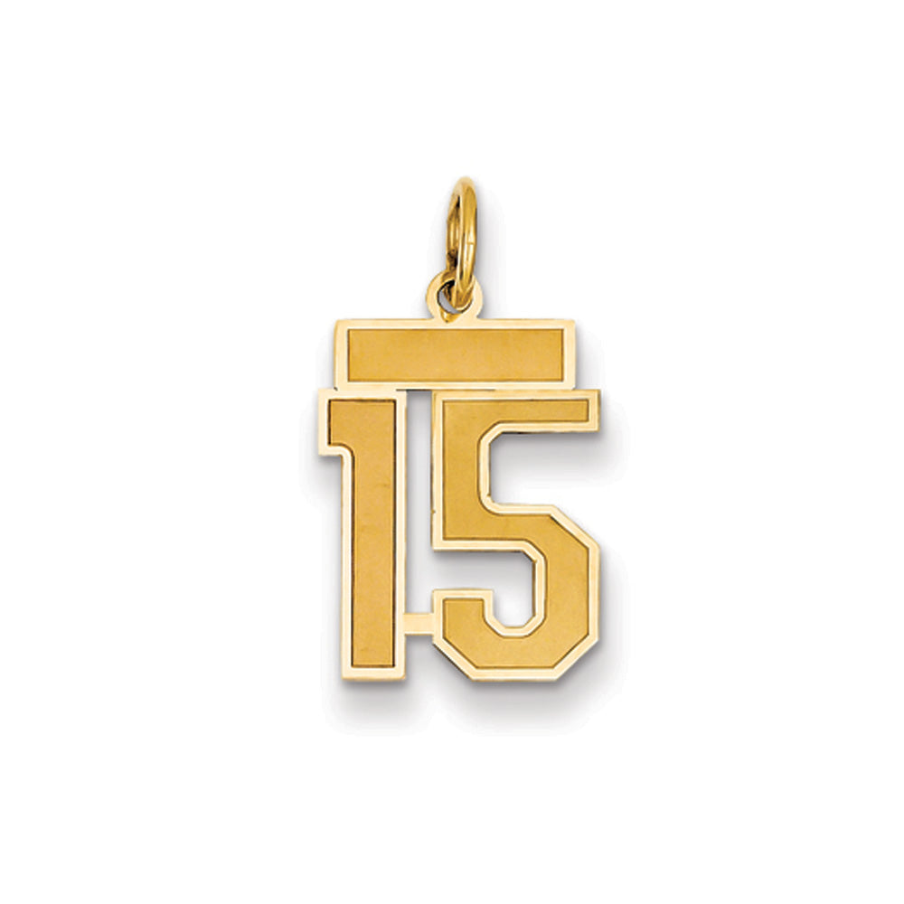 14k Yellow Gold, Jersey Collection, Small Number 15 Pendant - Black Bow ...